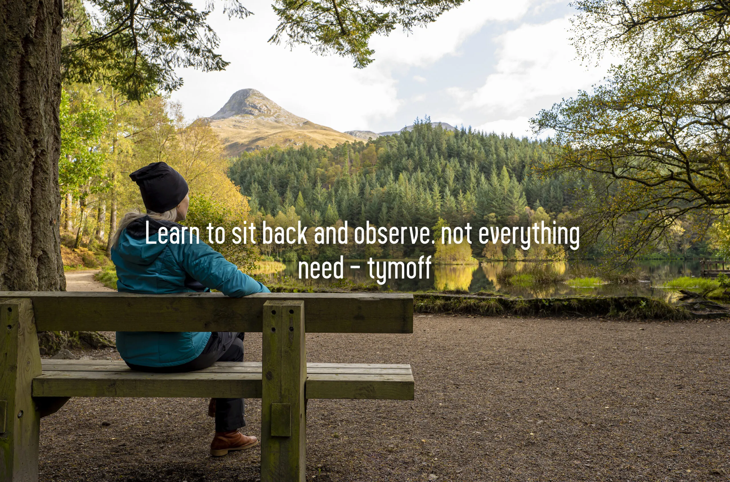 learn to sit back and observe. not everything need - Tymoff 2024 ...